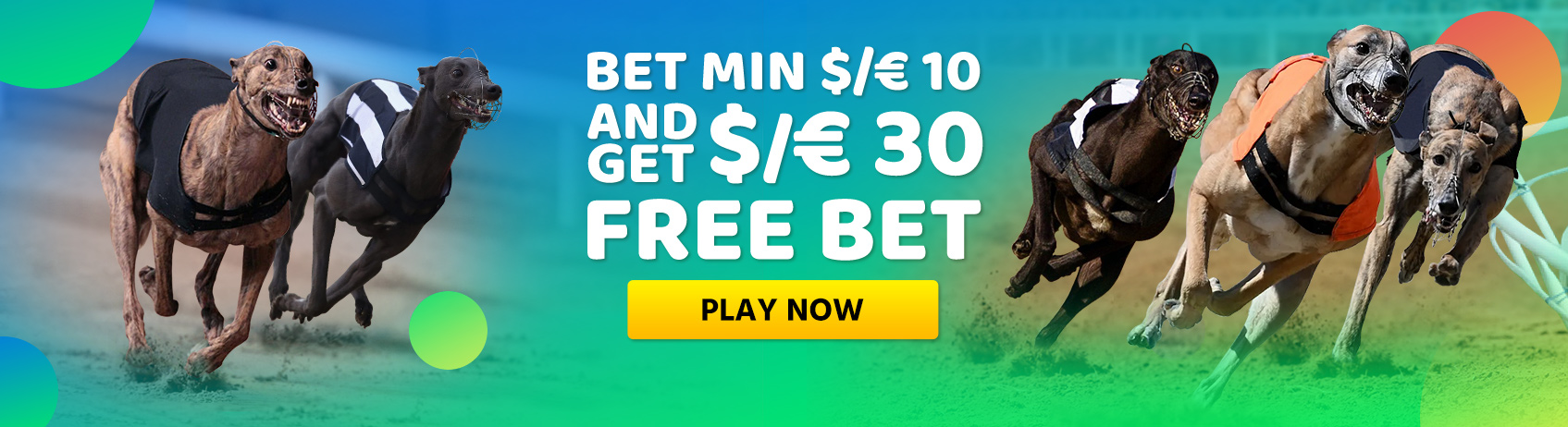 Greyhound Betting | Greyhound Race Odds & Betting